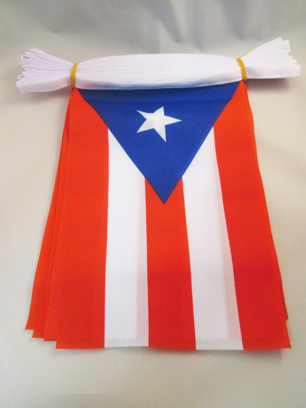 PUERTO RICO 6 meters BUNTING FLAG 20 flags 9'' x 6'' - PUERTO RICAN ...