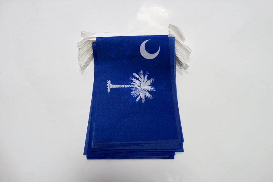 South Carolina 6 meters BUNTING Flag 20 flags 9'' x 6'' - US state of ...