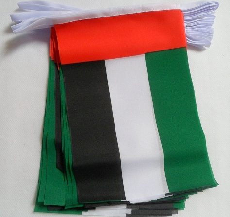 UNITED ARAB EMIRATES 12 meters BUNTING FLAG 20 flags 18'' x 12 ...