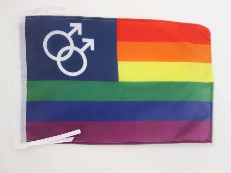 RAINBOW DOUBLE MARS FLAG 18'' x 12'' cords - GAY PRIDE SMALL FLAGS 30 x ...